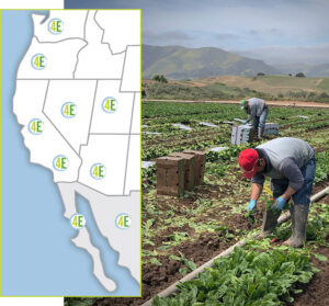 4Earth Farms | Company Details | Produce Leaders