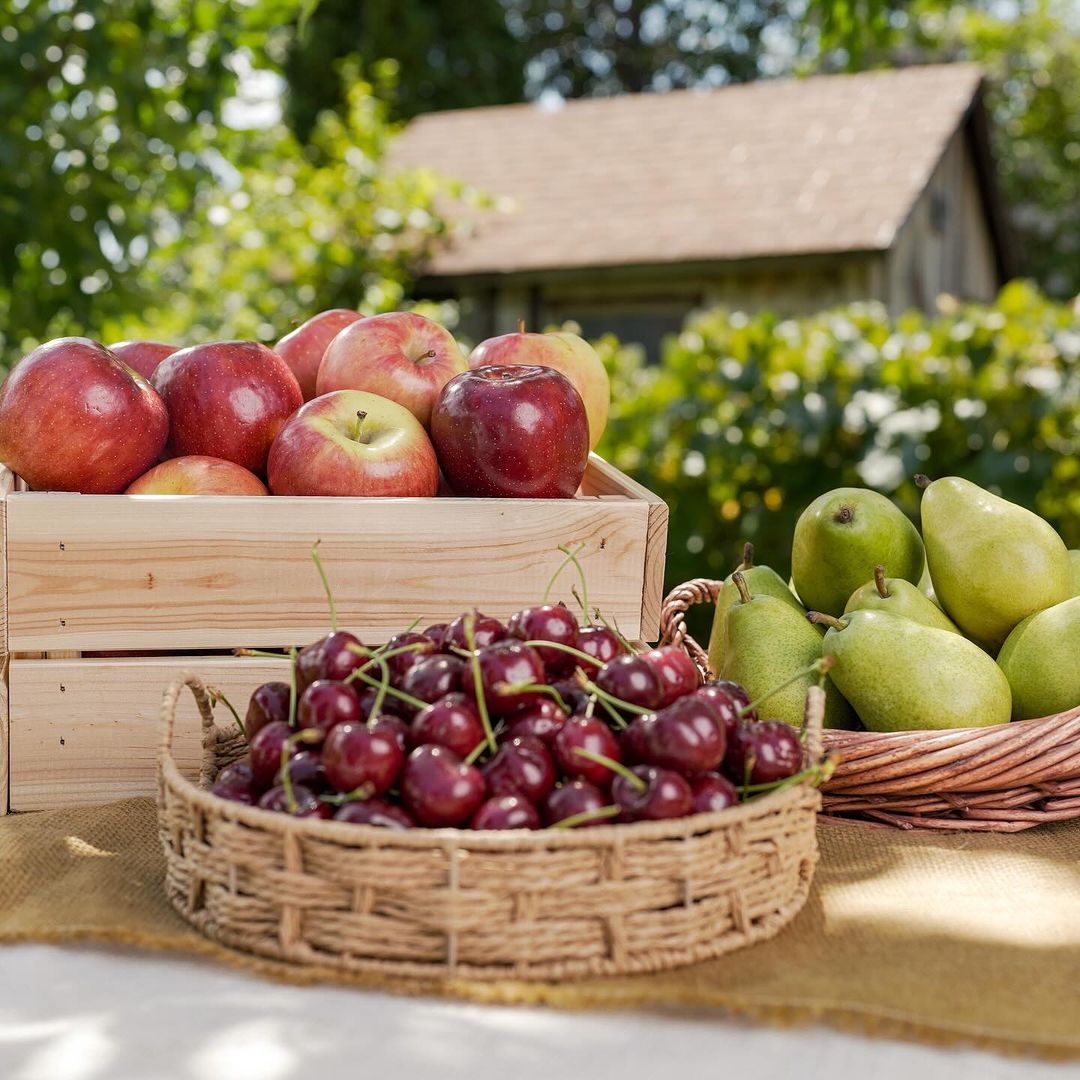 CMI Orchards: Leaders in Organic Fruit Production & Sustainable ...