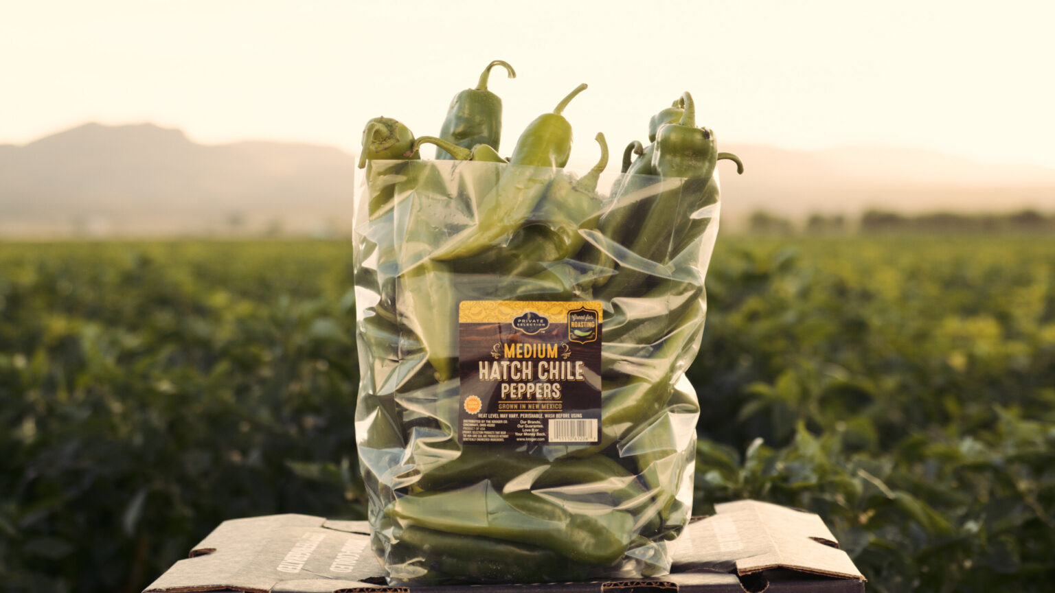 17 Effective Strategies for Modern Produce Marketing