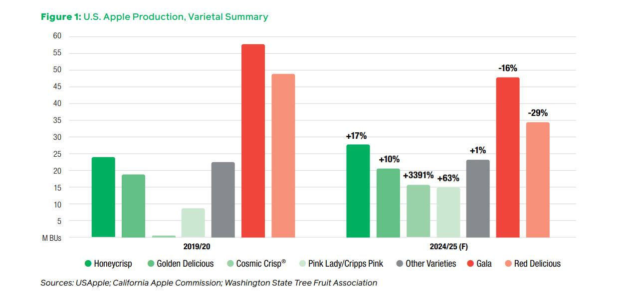 U.S. Apple Production Forecast for 2024/25 Drops by 2%, Facing Industry ...