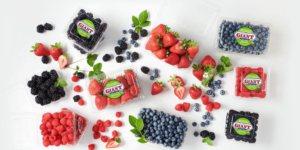 California Giant Berry Farms: Growing More Than Just Berries | Produce ...