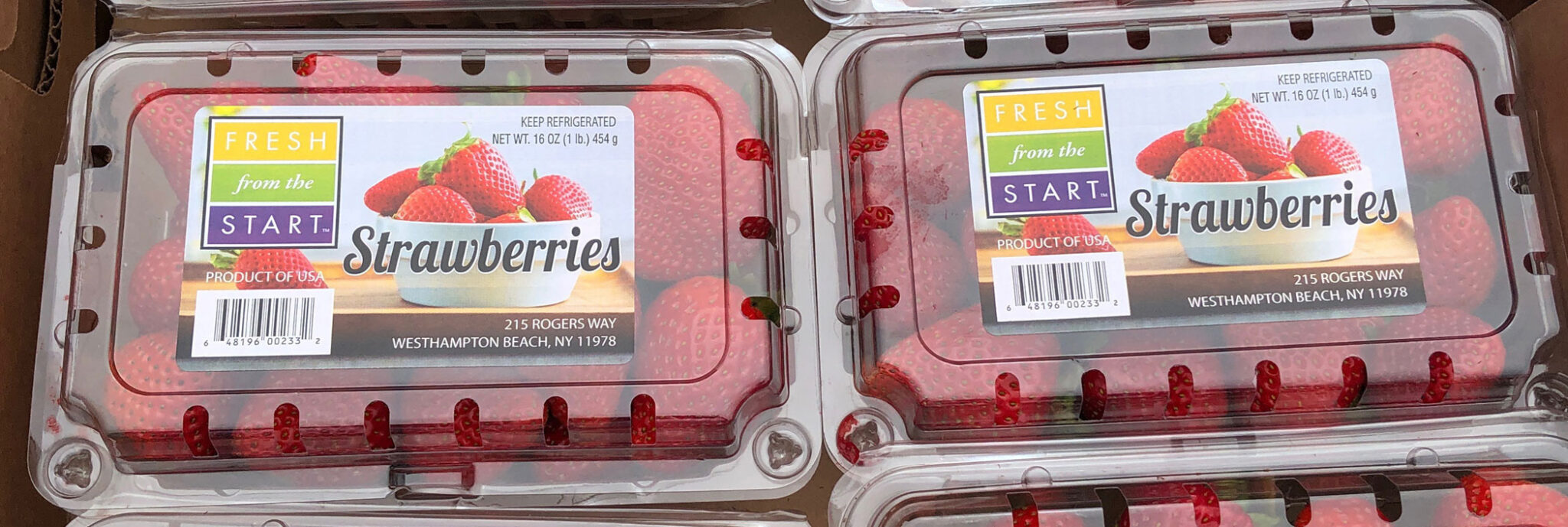Fourth-Generation Grower Hapco Farms Highlights Fresh Solutions at 2024 ...