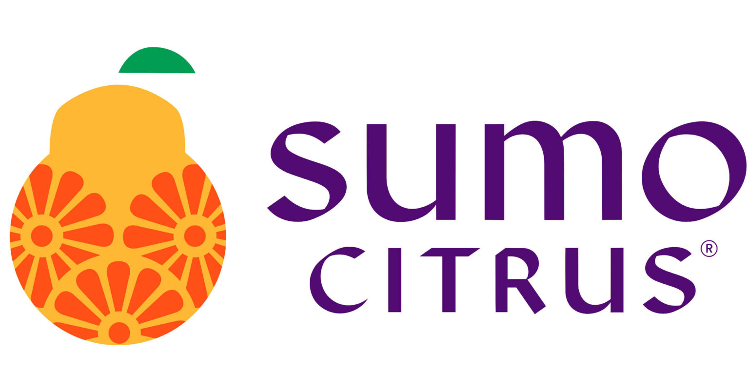 Sumo Citrus: A Seasonal Delight Worth the Wait | Produce Leaders
